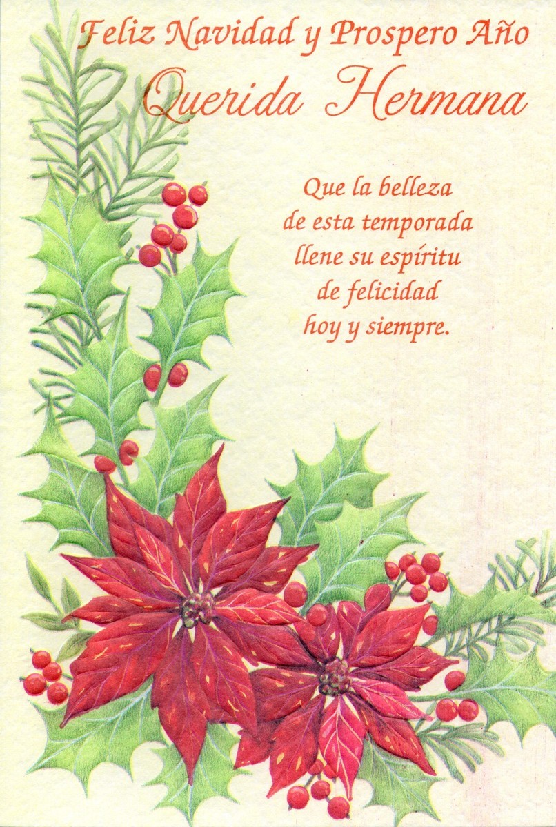 Feliz Navidad Greetings FELIZ NAVIDAD | Kerstwensen 🎅🎄🎁