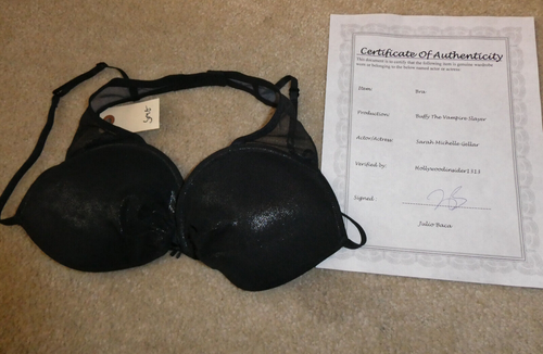 Authentic Buffy The Vampire Slayer Show Worn Sarah Michelle Gellar Bra ...