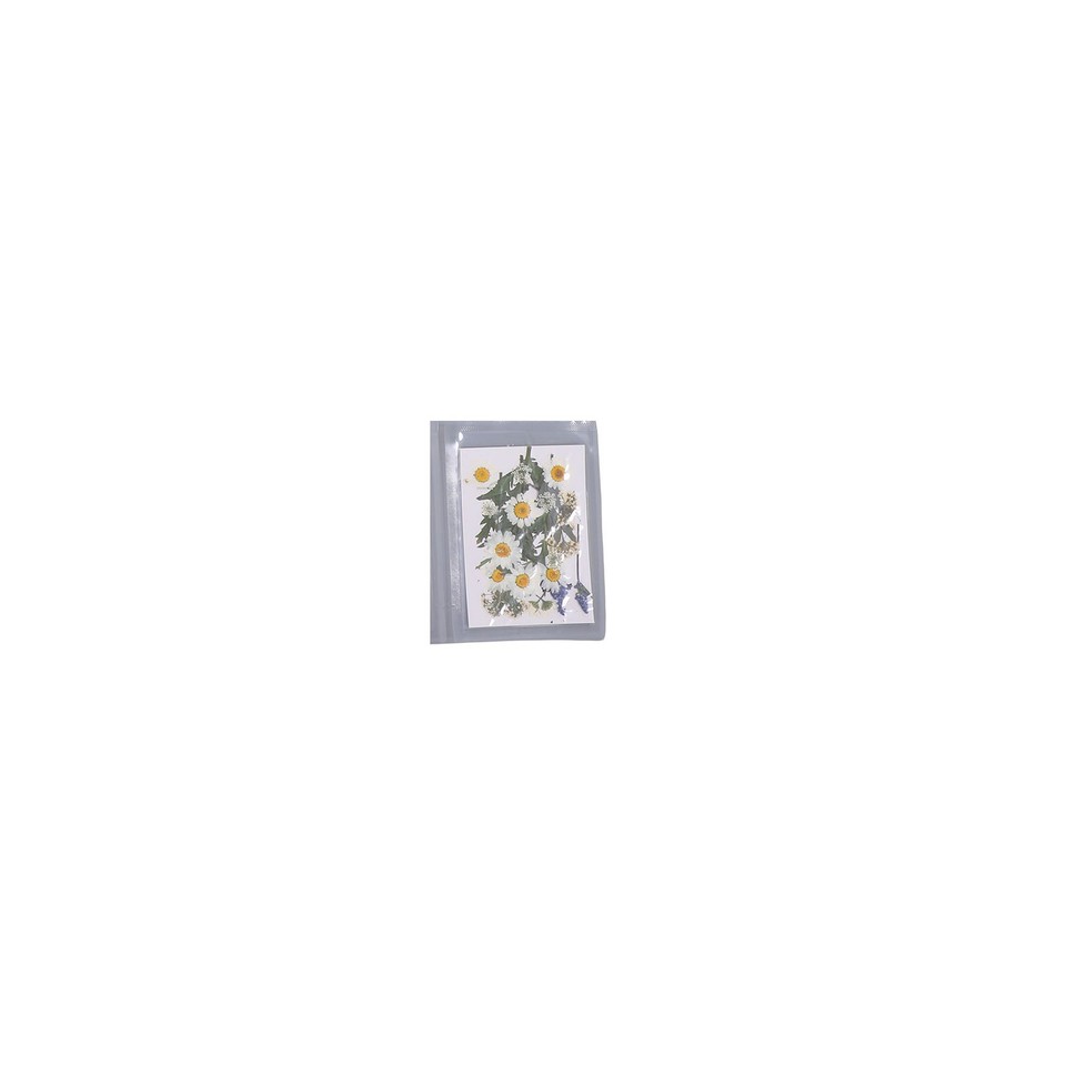 Dried Flower Kit Dry Pressed Flowers Plant Specimen For Art Crafts ...
