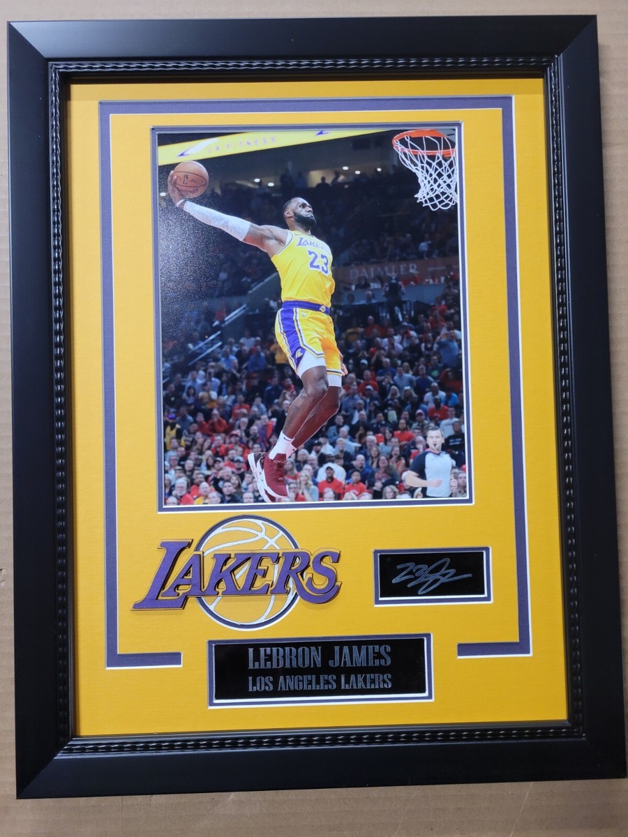 Lebron James Signature Dunk