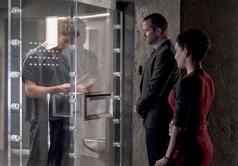 BLINDSPOT SEASON 2 - TV SERIES (DVD) Jaimie Alexander Sullivan ...