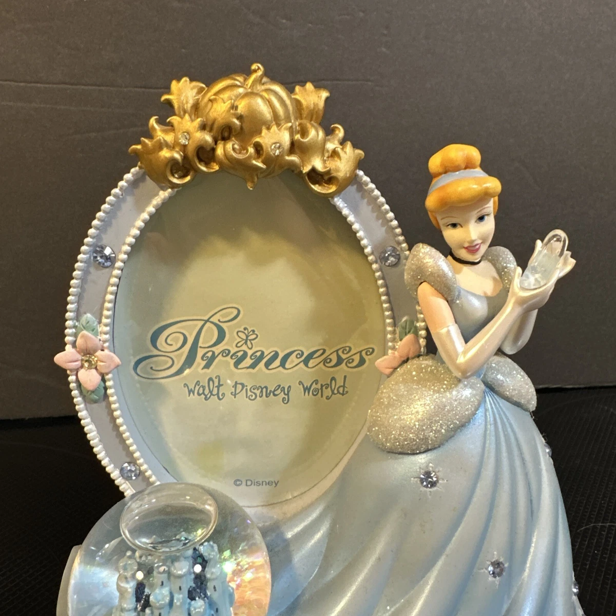 Cinderella Disney World Princess