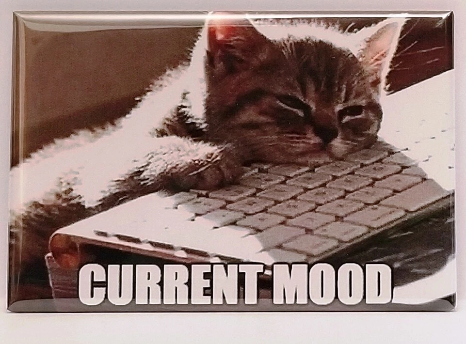 Current Mood Meme Sleepy