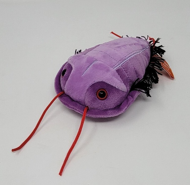 Giant Microbes Trilobite Plush Scientific Toy By Drew Oliver | eBay