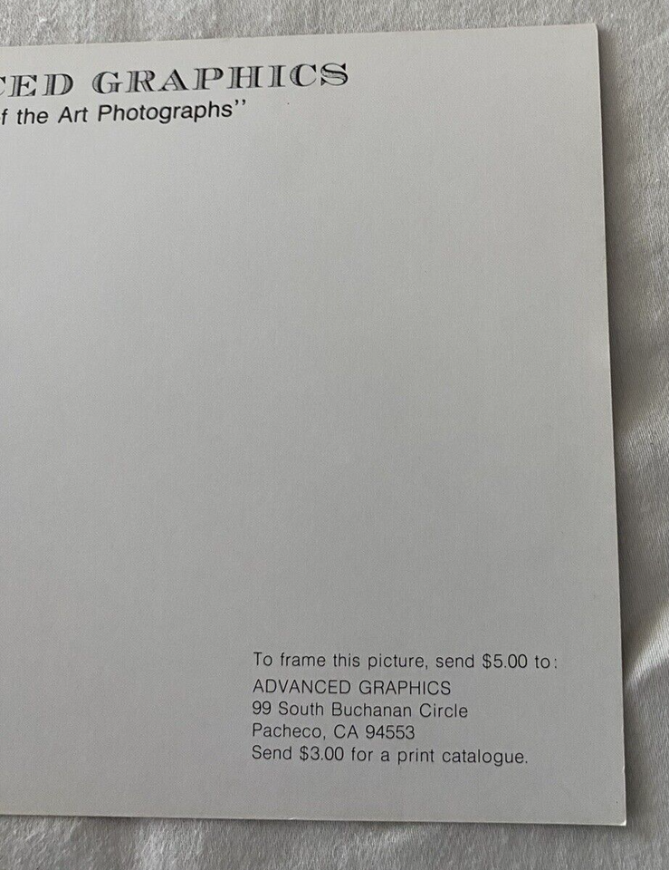 Rare 1980's Advanced Graphics Toucan Postcard Ron Kimball Print #119 5 ...