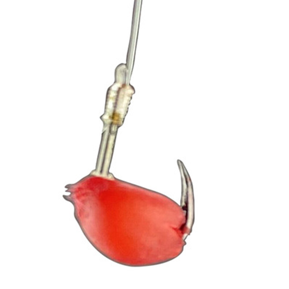 Portable Natural Fishing Lures Carp Wheat Baits Crankbaits Hooks Blood ...