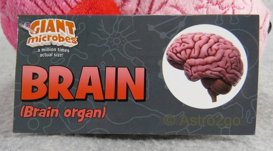 GIANT MICROBES-BRAIN ORGAN-Stuffed Plush Mind Stem Cell Memory Thoughts ...