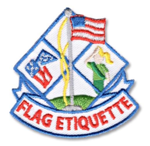 Girl Boy Cub FLAG ETIQUETTE handling rules Patches Badges SCOUTS GUIDE ...