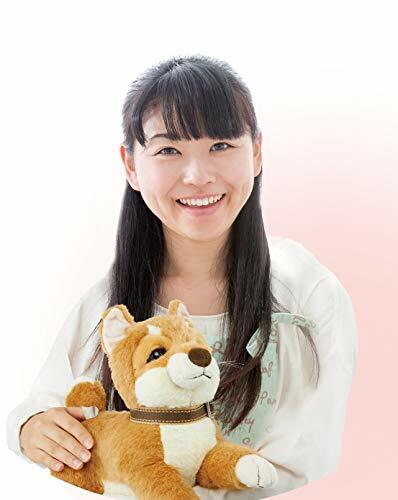 Japanese Talking dog robot plush Shiba Inu Doll Stuffed toy IWAYA NEW ...