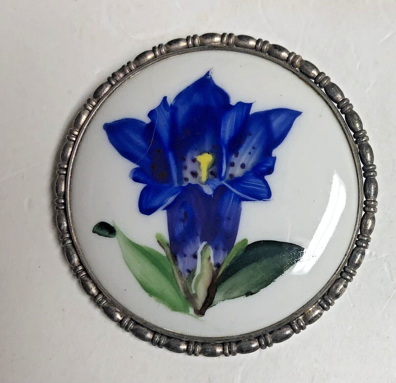 Antique ROSENTHAL Germany BLUE FLOWER Porcelain & STE… - Gem