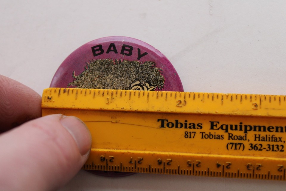 Vintage 1960s Baby Sitter Basil Wolverton Celluloid Pinback, Made in ...