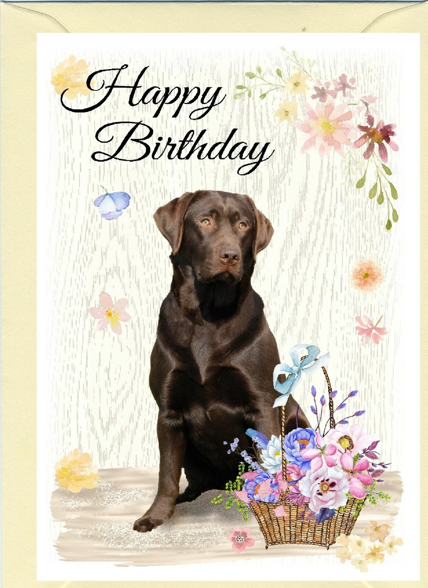 Golden Lab Birthday Cards Black Lab Dog Birthday Card Hope Your