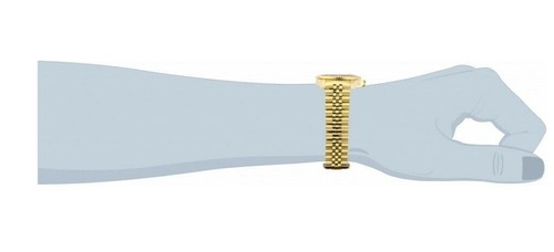 Invicta Pro Diver Automatic Men's 42mm Gold Dial Pepsi Bezel Watch ...