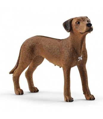 Chien Rhodesian Ridgeback Schleich 13895 | eBay