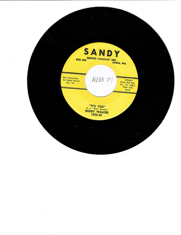 Buddy Walker ROCK-A-BILLY 45 (SANDY 1036) I Want You/It's You NM | eBay
