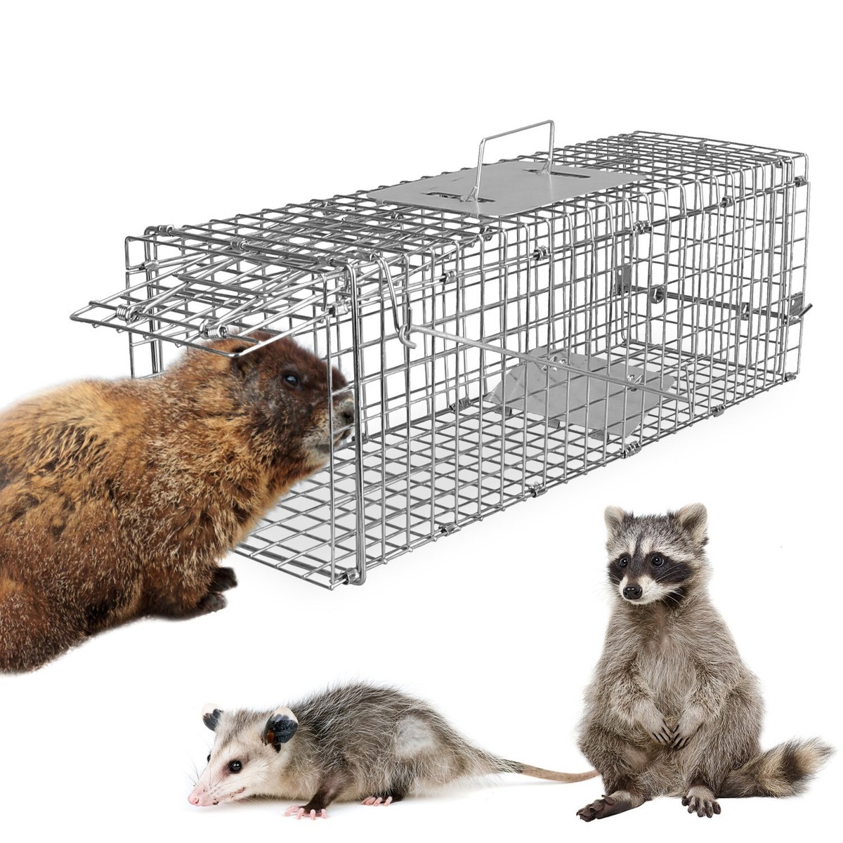 Small Mammal Trap Types Type Of Trap Cut Out Stock Images & Pictures
