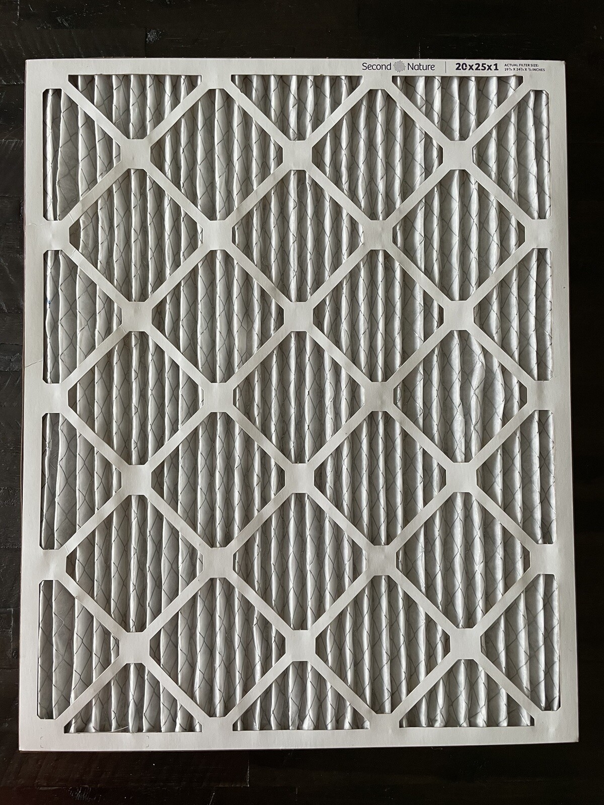 Air Filter 20 x 25 x 1 Health Shield Dust Pollen Mold Bacteria Lint ...