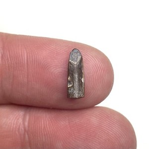 thedinosource | eBay Stores