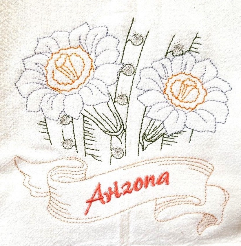 Saguaro Cactus Flower Drawing