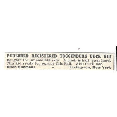 Allen Simmons Purebred Toggenburg Goats Livingston NY 1924 Ad AG3-S7 | eBay