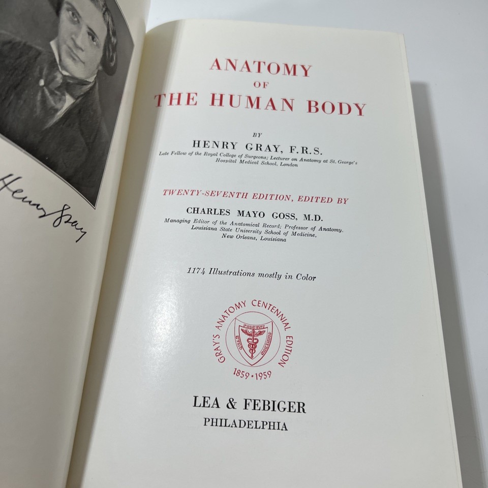 Vtg Gray's Anatomy of the Human Body 100th Year 27th Edition Charles ...