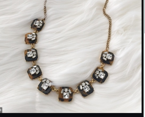 NWT J. Crew Tortoise Shell Crystal Necklace & J Crew Bag | eBay