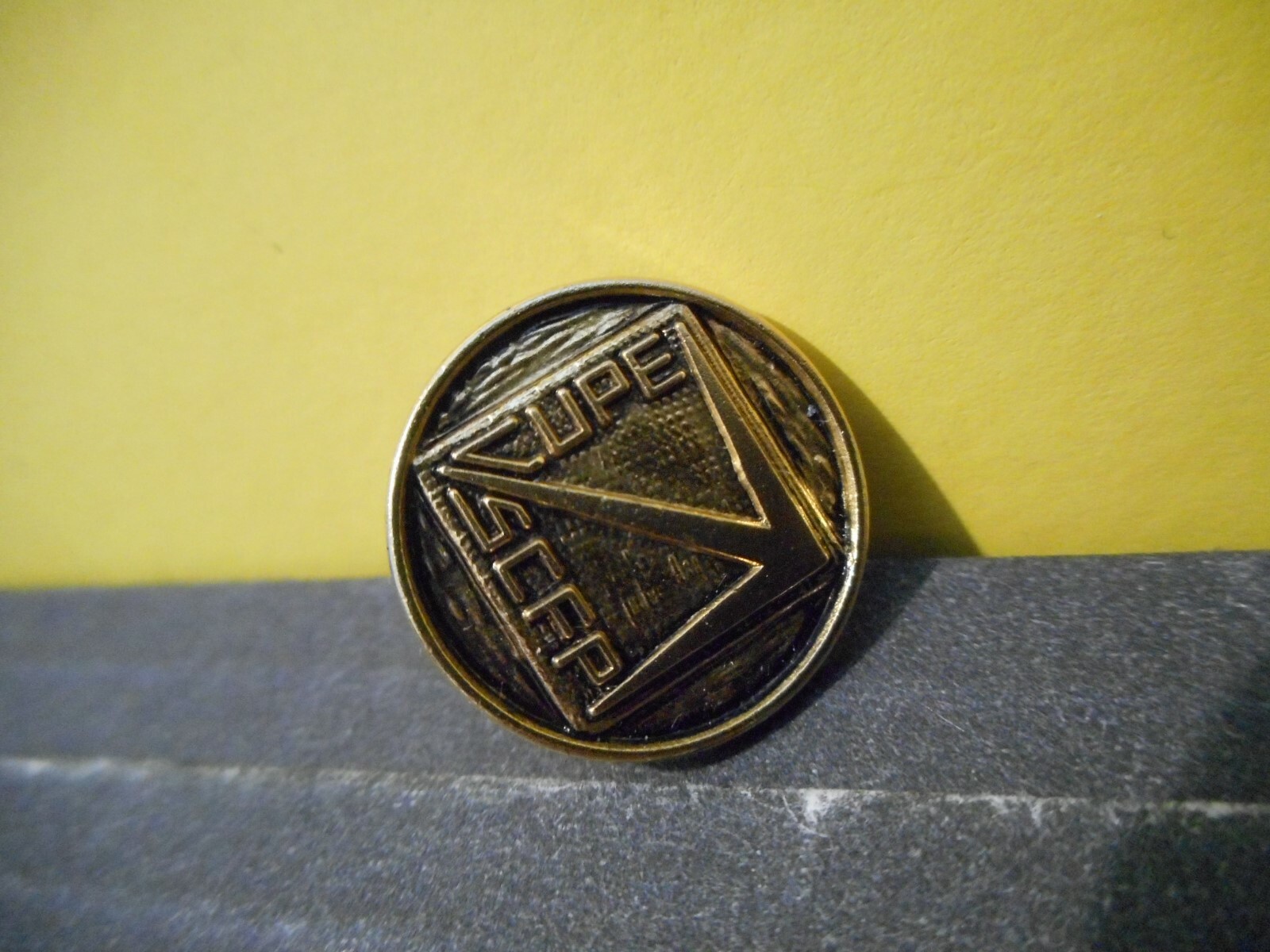 CUPE Union Lapel Pin,Canadian Union of Public Employees,Badge Pin | eBay