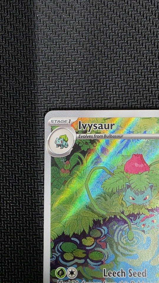 Pokémon Scarlet & Violet 151 Illustration Rare: Ivysaur Holo Card 167/ ...