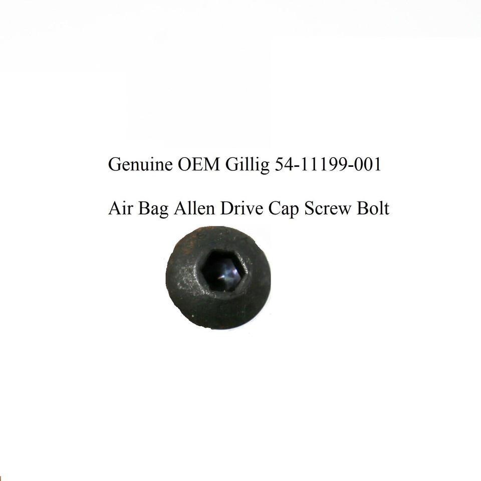 Gillig 54-11199-001 Allen Drive Cap Screw Bolt for Trucks, Semis, Buses ...