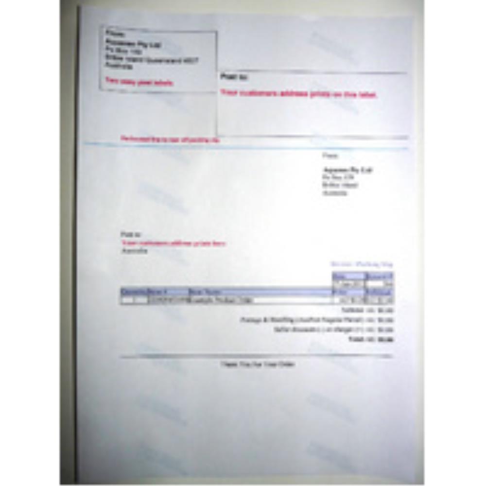2000 EBAY INTEGRATED A4 POST ADDRESS PRINTING LABEL & PACKING SLIP SELF ...