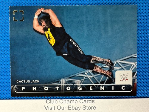 2024 #69 Cactus Jack Panini Photogenic WWE | eBay