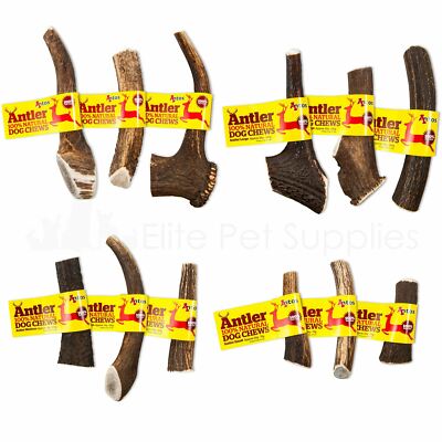 Antos Deer Antler Dog Chew Long Lasting Treat 100% Natural XS, S, M, L ...