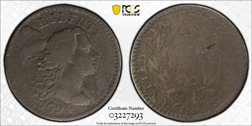 1794 S-48 STARRED REVERSE Large Cent PCGS VG8 ex-Hines Downing Ruby | eBay