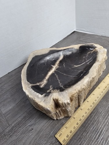 Natural Beauty! Petrified Wood Trinket Dish/Bowl/Cigar Ashtray Fossils ...