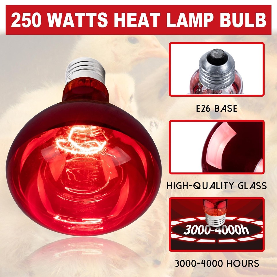 250 Watt Heat Lamp Bulbs for Chicks, R40 Heat Lamp for Chickens ...
