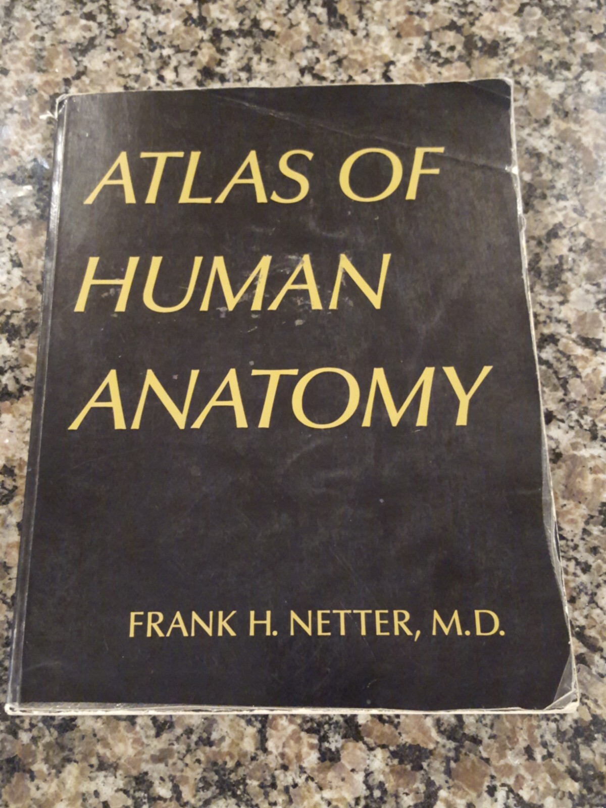 Atlas of Human Anatomy by Dr Frank Netter, MD 1994 softcover ...