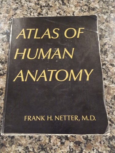 Atlas of Human Anatomy by Dr Frank Netter, MD 1994 softcover ...