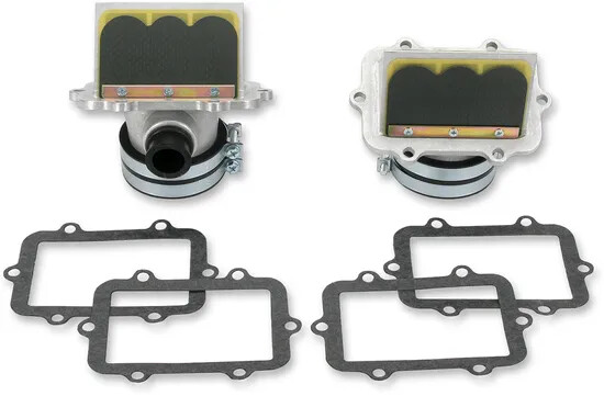 Boyesen Rage Cage Carbon Reed Assembly Ski-Doo Summit X 800 2001-2002 ...