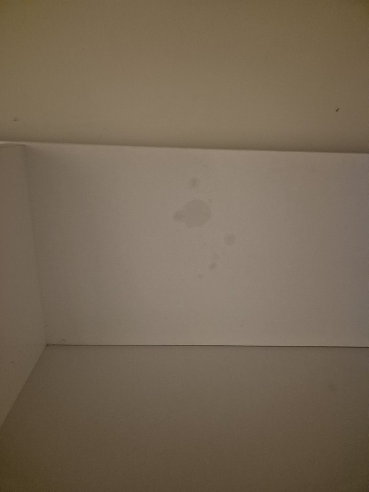 Julian Bowen DOM002 Domino Matt Single Bunk Bed - All White | eBay UK