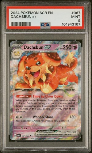 2024 POKEMON SCR EN-STELLAR CROWN #067 DACHSBUN EX PSA 9 | eBay
