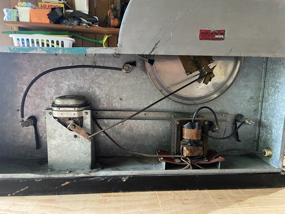 Neon Light Sign | eBay