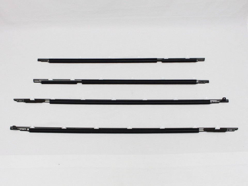 OEM Toyota Lexus Front & Rear Door Belt Molding 75710-60021 Land ...