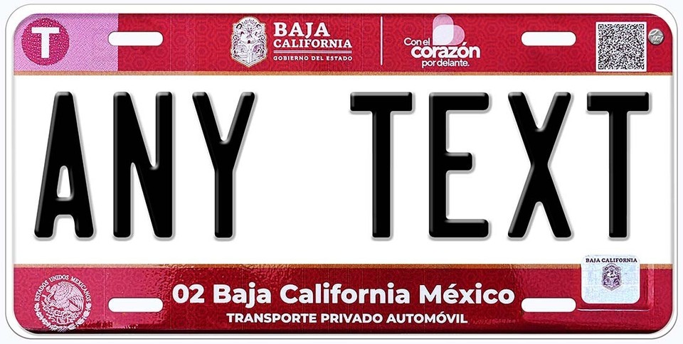Baja California Personalized Car Auto Mexico License Plates Any Text | eBay
