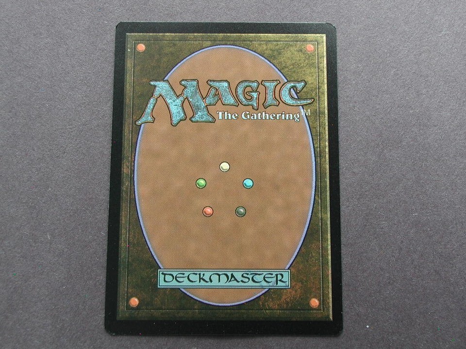 2024 MTG Rare Land "Labyrinth of Skophos" NM+ Magic Card #0272 MKC | eBay