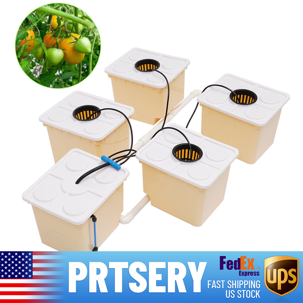 Hydroponic Deep Water Culture (DWC) & Buckets Drip Ring Grow System Kit ...