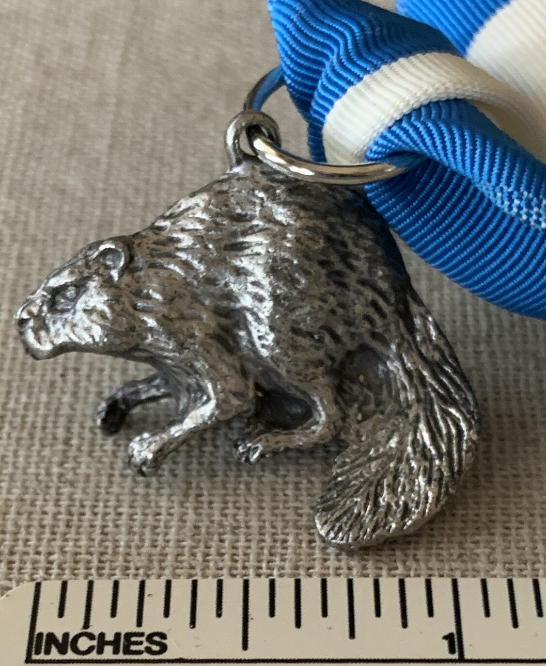 SILVER BEAVER Boy Scout Leader AWARD MEDAL & CASE & SQUARE KNOTS Ribbon ...