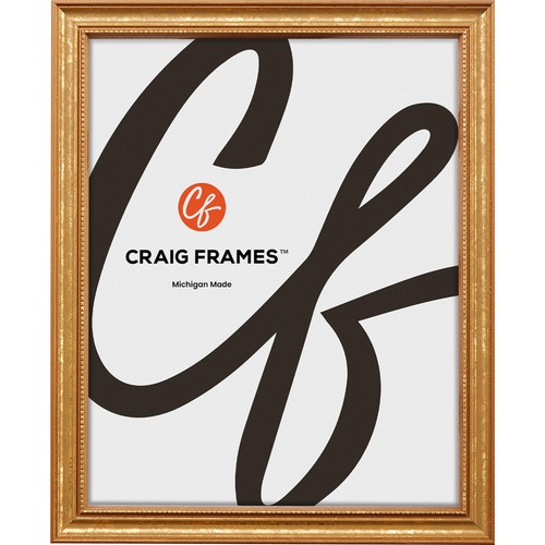 Craig Frames 16x20 Ornate Gold Picture Frame – Traditional Thin Wood ...