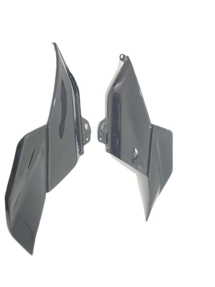 Side Panels Side Under Tank Carbon BMW R1300gs R 1300 GS | eBay Australia