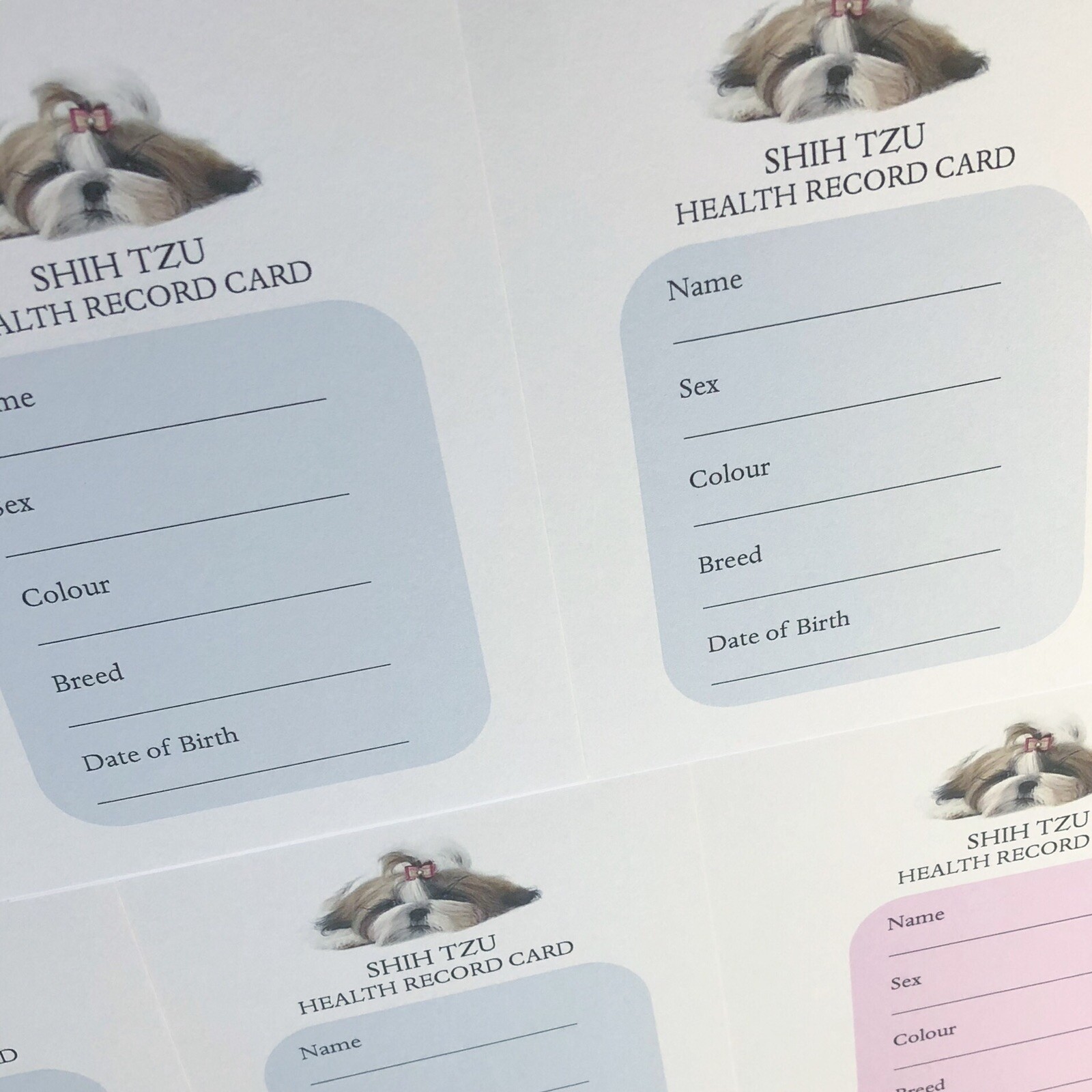 HEALTH RECORD CARDS Kitten/Puppy/dog/cat FLEA-WORMING-PEDIGREE-FORM ...