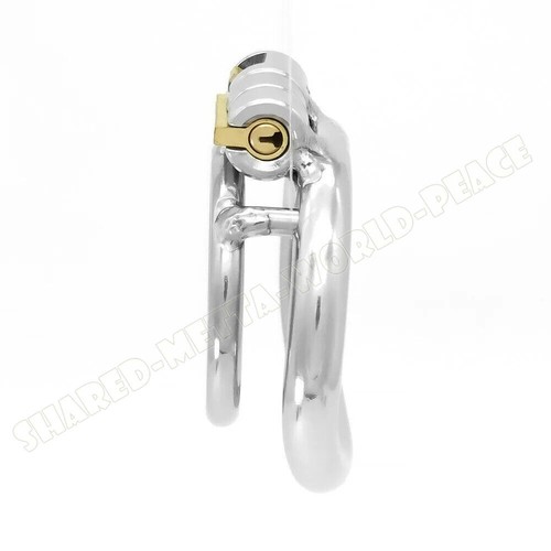 Male Double Ring Peni Lock Steel Chastity Cage Chastity Device ...
